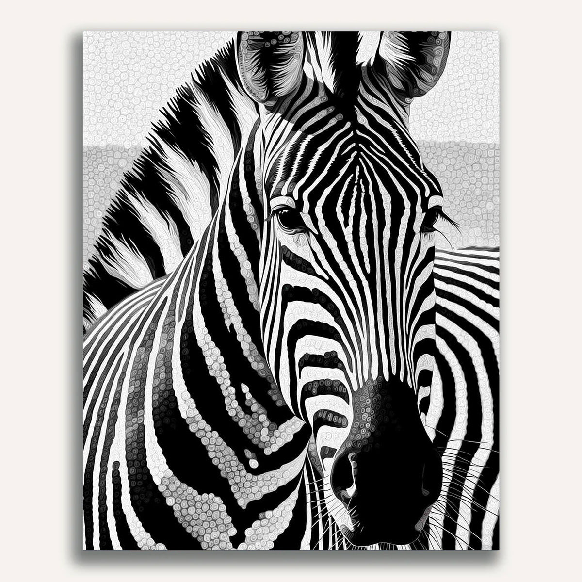 Zebra, Black and White - Paint by Numbers – DIY Paint by Numbers