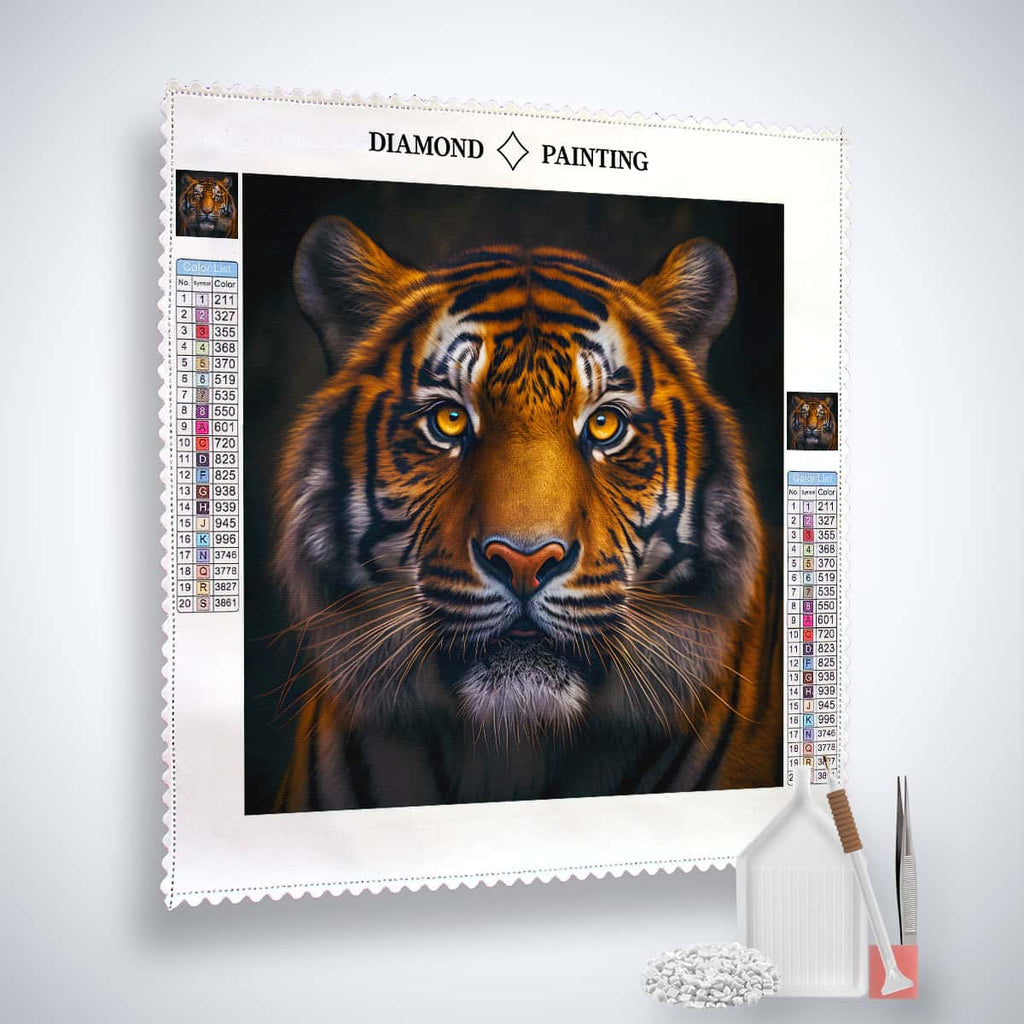 Paint by Numbers - Tiger frontal view – DIY Paint by Numbers