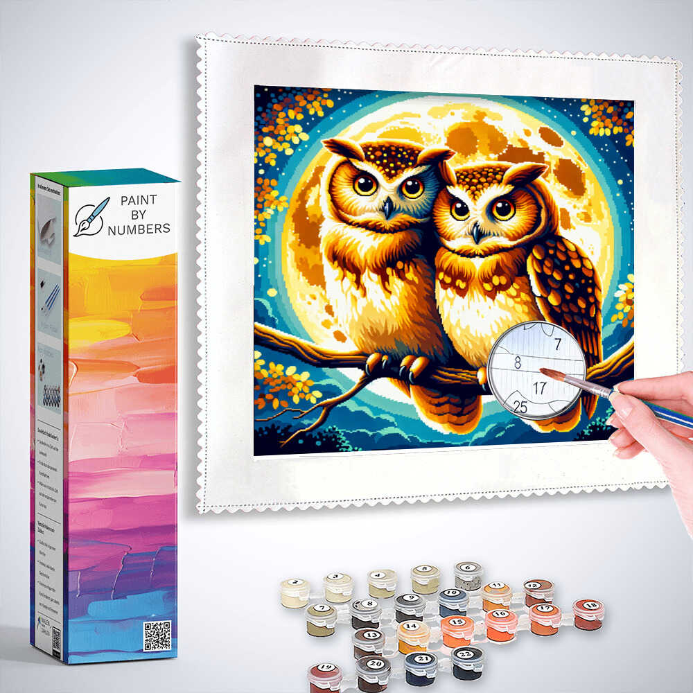 Paint by Numbers - Owl Couple on the Full Moon – DIY Paint by Numbers