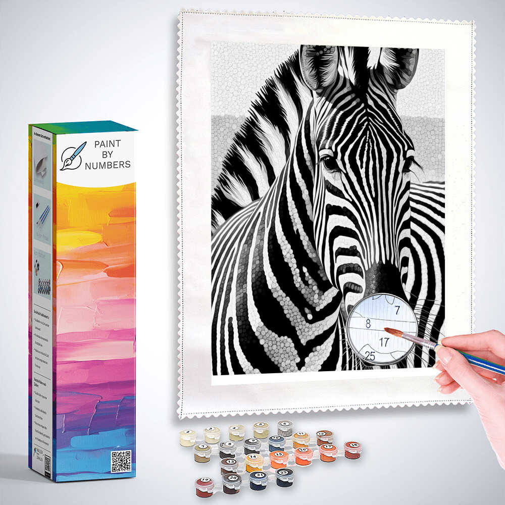 Zebra, Black and White - Paint by Numbers – DIY Paint by Numbers